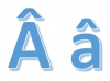 How to write the "A with circumflex accent" (â or Â) on the keyboard ...